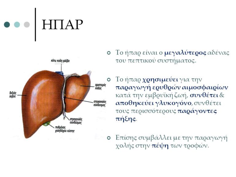 Ηπατοβλάστωμα και άλλοι καρκίνοι του ήπατος στα παιδιά - 24HealthNews
